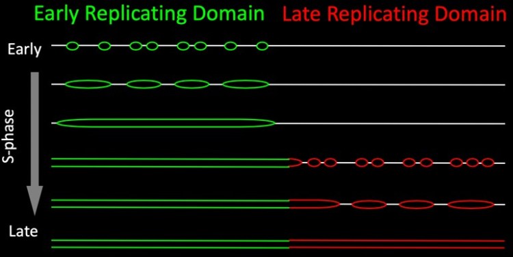 Research – The Gilbert Laboratory