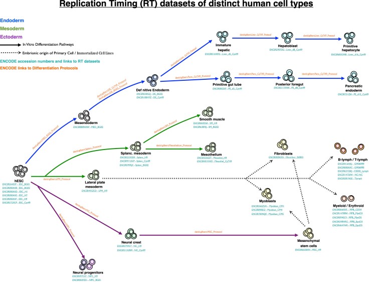Research – The Gilbert Laboratory