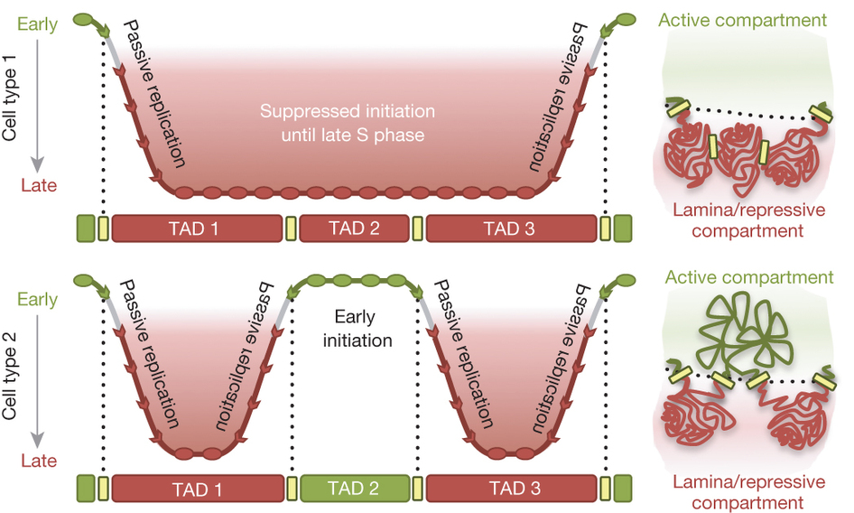Research – The Gilbert Laboratory